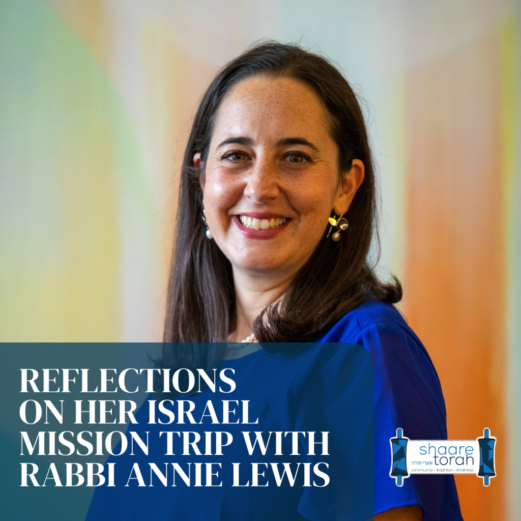Reflections on Israel Mission Trip with Rabbi Annie | Shaare Torah ...